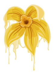 Vanilla flower realistic isolated design Vector Image