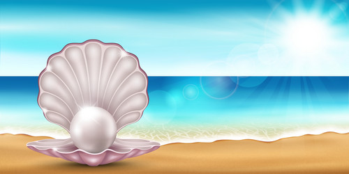 Beach with shells Royalty Free Vector Image - VectorStock