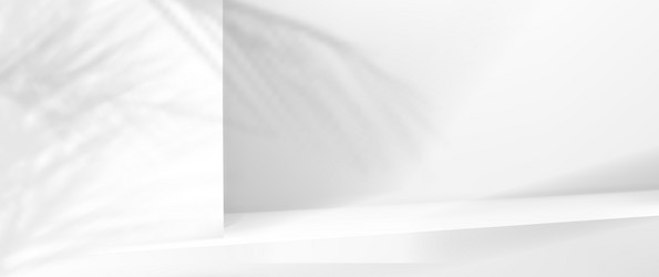 Platform mockup for product display background Vector Image