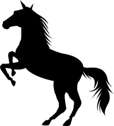 Horse Two Legs Vector Images (51)