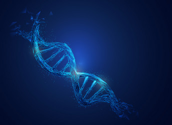 Dna Royalty Free Vector Image - VectorStock