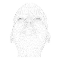 Person Wireframe Vector Images (over 13,000)