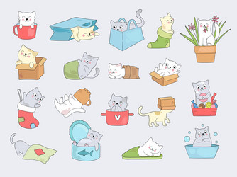 Cute cat hide in cardboard cartoon animal nature Vector Image