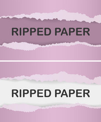 Realistic ripped paper Royalty Free Vector Image