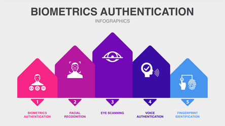 Biometrics authentication facial recognition eye Vector Image