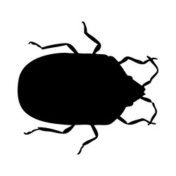 Bug Silhouette Royalty Free Vector Image Vectorstock