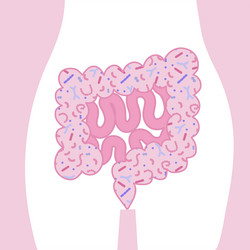 Different types of human microbiome infographic Vector Image