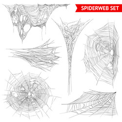 Realistic Cobweb Vector Images (over 610)