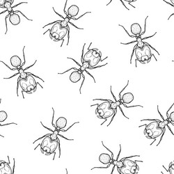 Ant monochrome seamless pattern geometric Vector Image