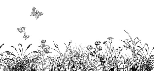 Grass Drawing Pencil