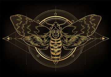 Golden moth over sacred geometry sign isolated Vector Image