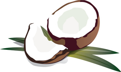 Coconut Vector Images (over 70,000)