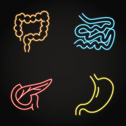 Metal digestive tract iron stomach and intestines Vector Image