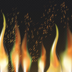 Realistic red-yellow fire on a dark background Vector Image