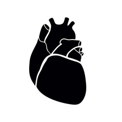 Human Heart Vector Images (over 140,000)