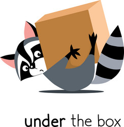 Preposition place and movement raccoon box Vector Image