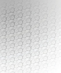 Silver jewelry Royalty Free Vector Image - VectorStock