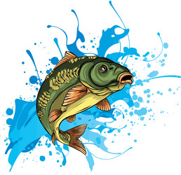 Freshwater Fish Drawing Vector Images (over 2,300)