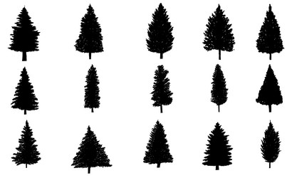 Pine Tree Vector Free Download