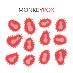Monkeypox virus infographics of transmission Vector Image