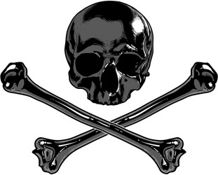 Jolly roger Royalty Free Vector Image - VectorStock