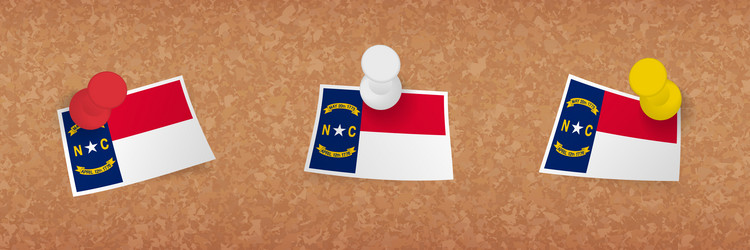 South carolina flag pinned in cork board three Vector Image