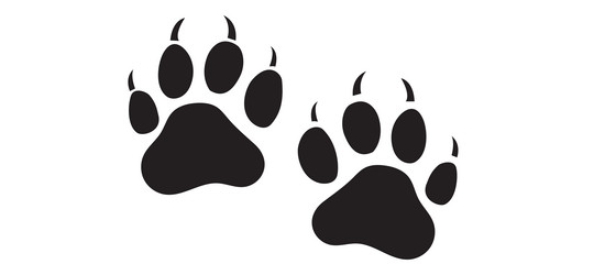 Tiger footprint Royalty Free Vector Image - VectorStock