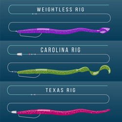 Finesse rigs for bass fishing Royalty Free Vector Image