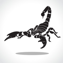 Scorpion Vector Images (over 7,200)