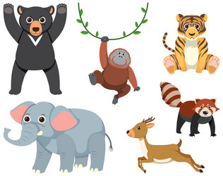 Wild animals in simple cartoon style Royalty Free Vector
