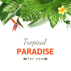 Free Tropical Vector Images (over 32,000)