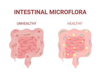 Intestinal Vector Images (over 15,000)
