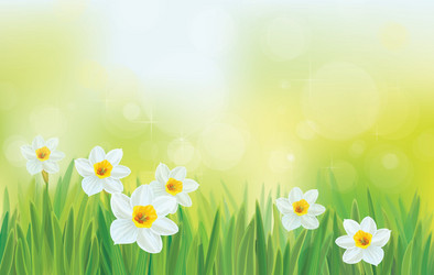 Spring flowers Royalty Free Vector Image - VectorStock