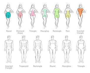 Male Body Types Chart