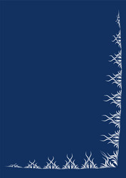 Abstract graphic is a lace plant-based frame Vector Image