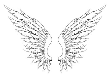 Wings drawing Royalty Free Vector Image - VectorStock