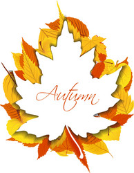 Autumn leaves font letter d Royalty Free Vector Image