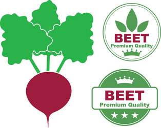 Beet Vector Images (over 16,000)