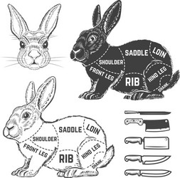 Cut meat rabbit poster butcher diagram Royalty Free Vector