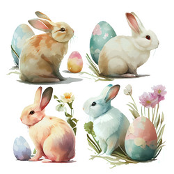 Set beautiful butterfly flying Royalty Free Vector Image