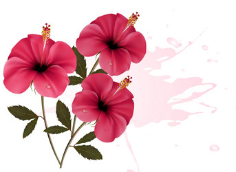 Three Flowers Vector Images (over 7,000)