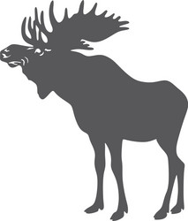 Moose Vector Images (over 13,000)