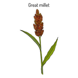 Millet Drawing Vector Images (over 220)