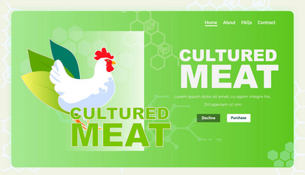 Cell cultured chicken meat artificial lab grown Vector Image