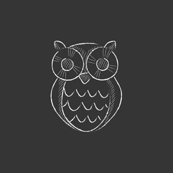 Wisdom owl hand drawn sketch icon Royalty Free Vector Image