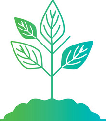 Sunflower Leaves Ground Vector Images (60)