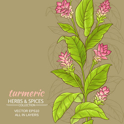 Turmeric Vector Images (over 2,700)