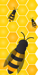 Bees wasps and honeycombs with honey Royalty Free Vector