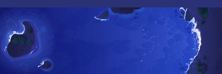 Night sea sand beach top view background Vector Image