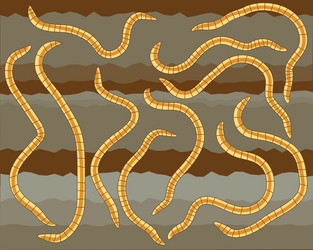 Worms Vector Images (over 25,000)